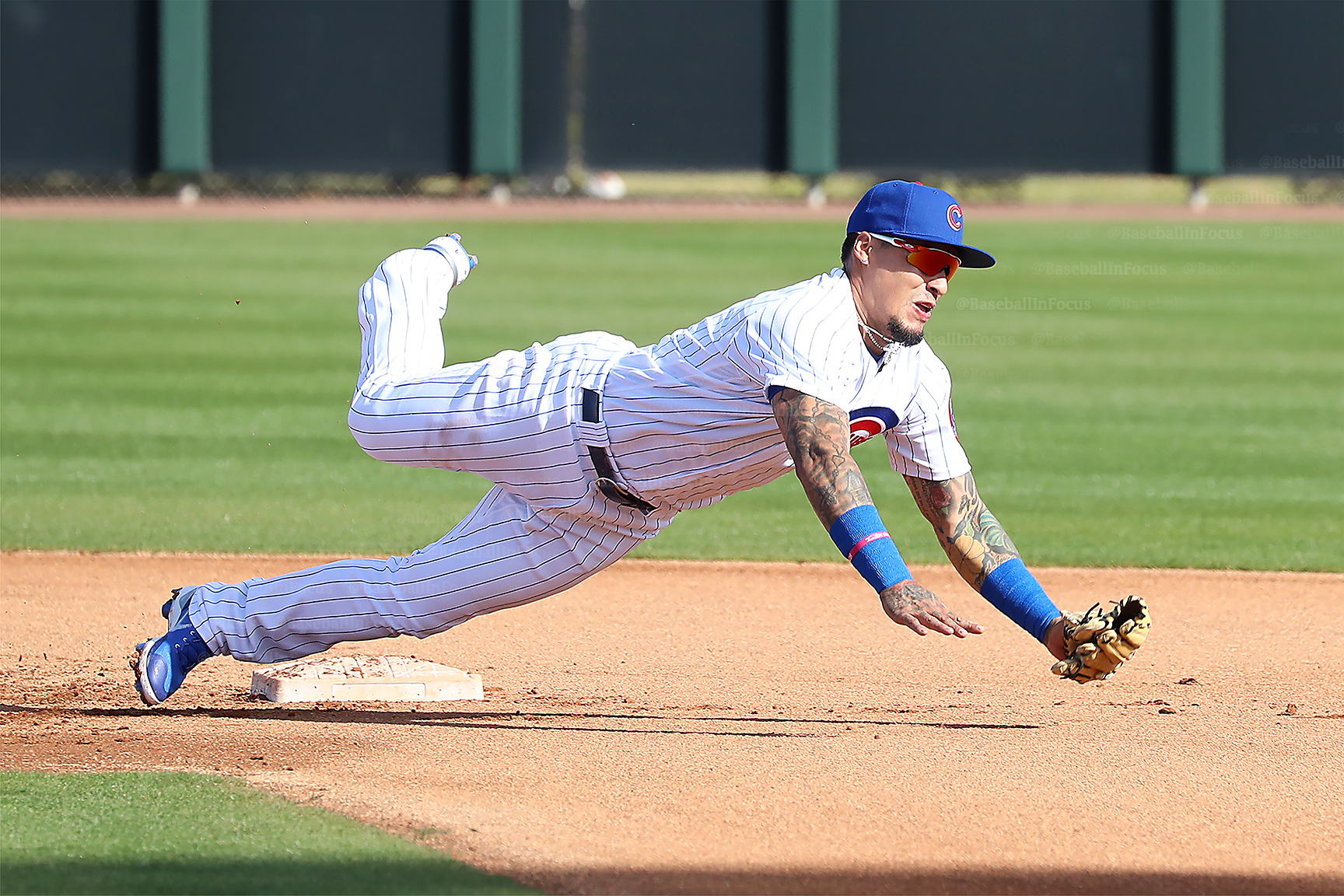 Cubs Camp - In Pictures - Boys of Spring